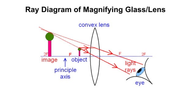 magnifying-glasses-infographics-and-uses | PPTX | Photography | Arts ...