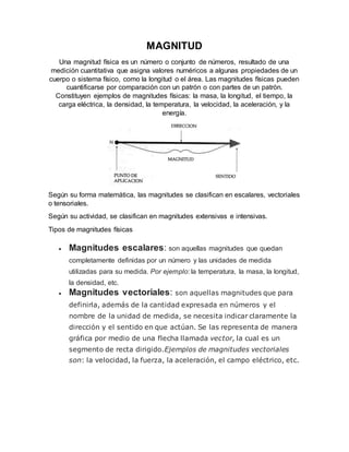 Magnitud | DOCX