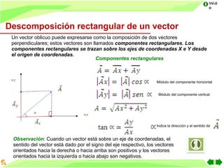 Magnitudes Vectoriales | PPT