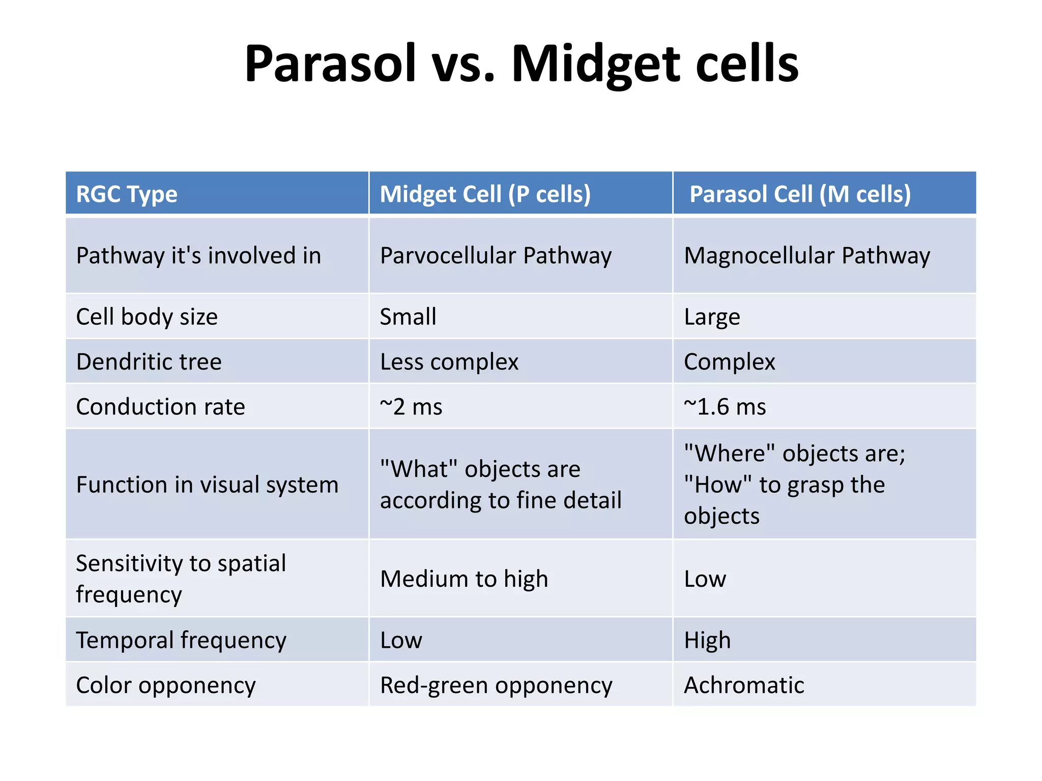 Magnocellular and Parvocellular pathways1.pptx