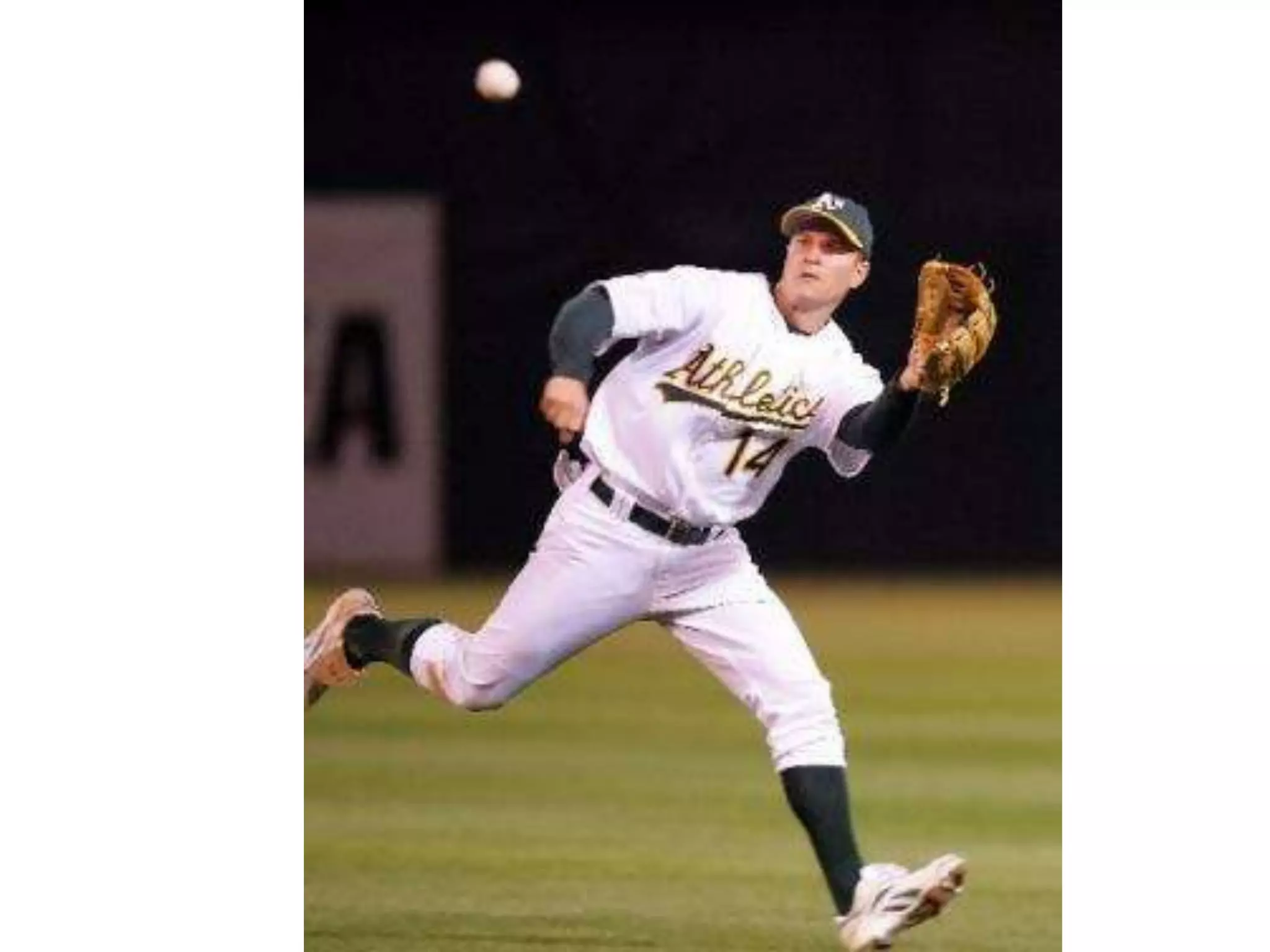 Magnocellular and Parvocellular pathways1.pptx