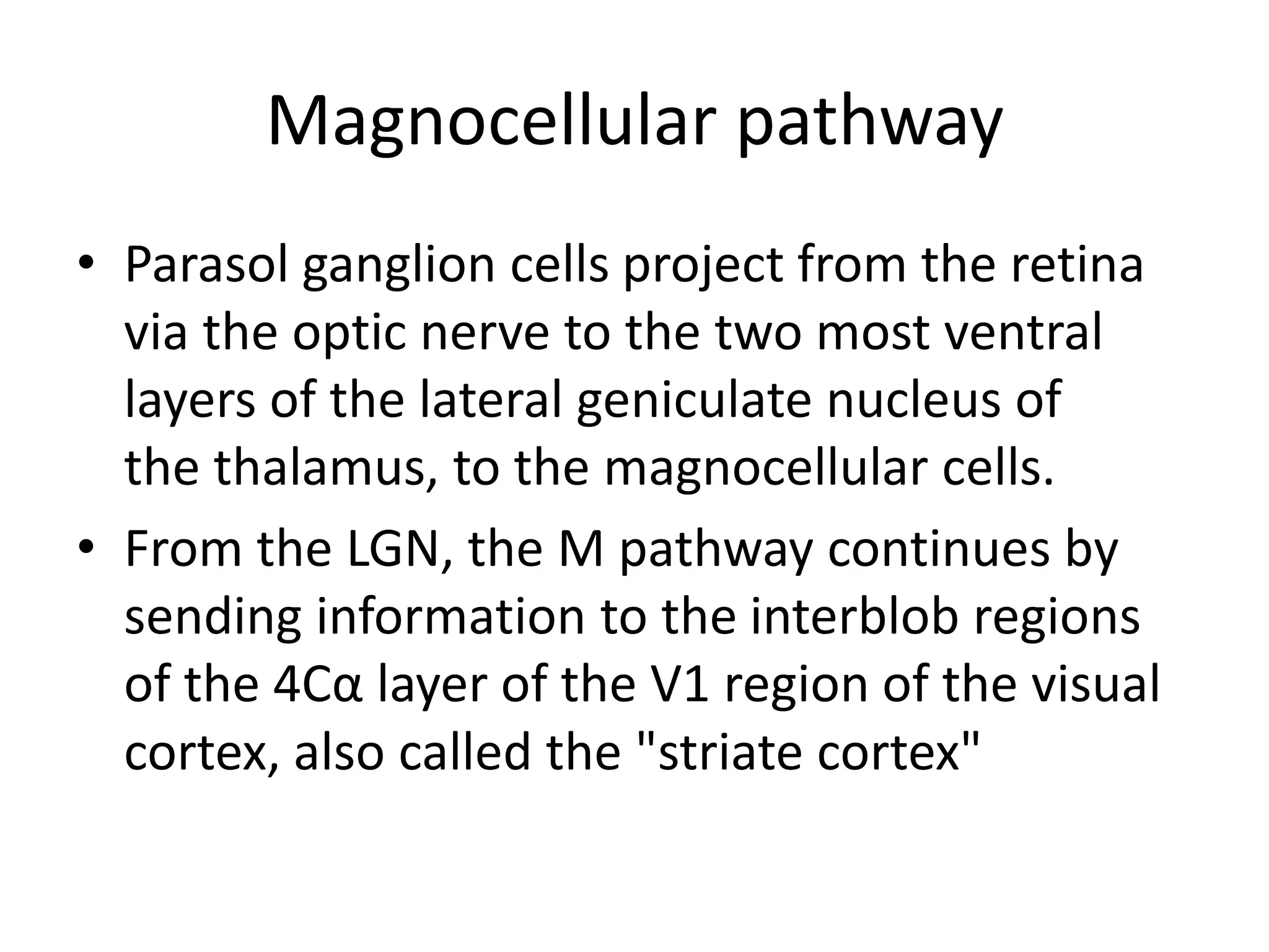 Magnocellular and Parvocellular pathways1.pptx