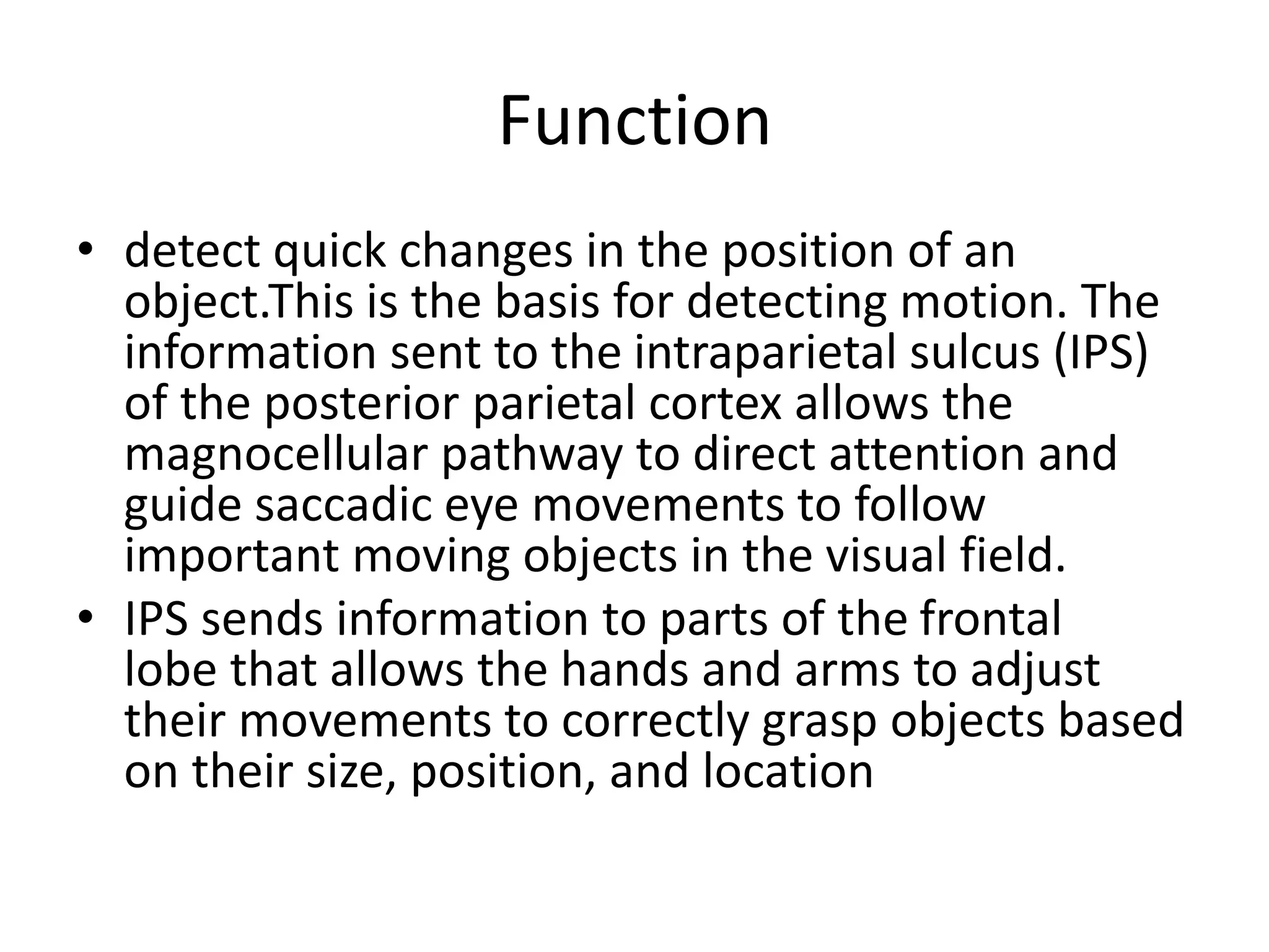 Magnocellular and Parvocellular pathways1.pptx