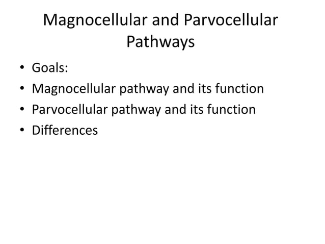 Magnocellular and Parvocellular pathways1.pptx