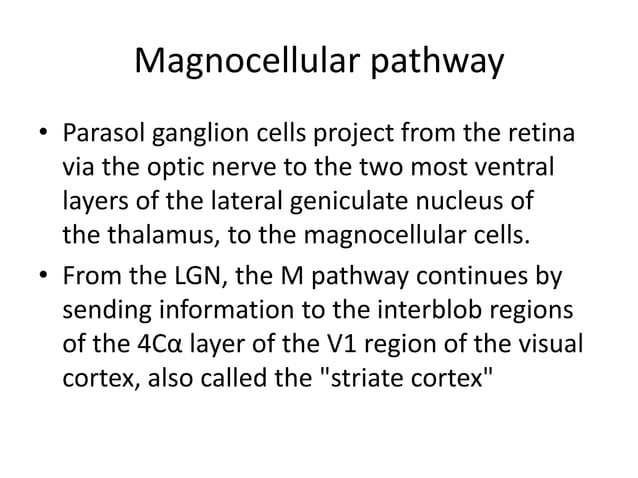 Magnocellular and Parvocellular pathways1.pptx