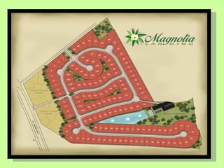 Magnolia LAnding | PPT