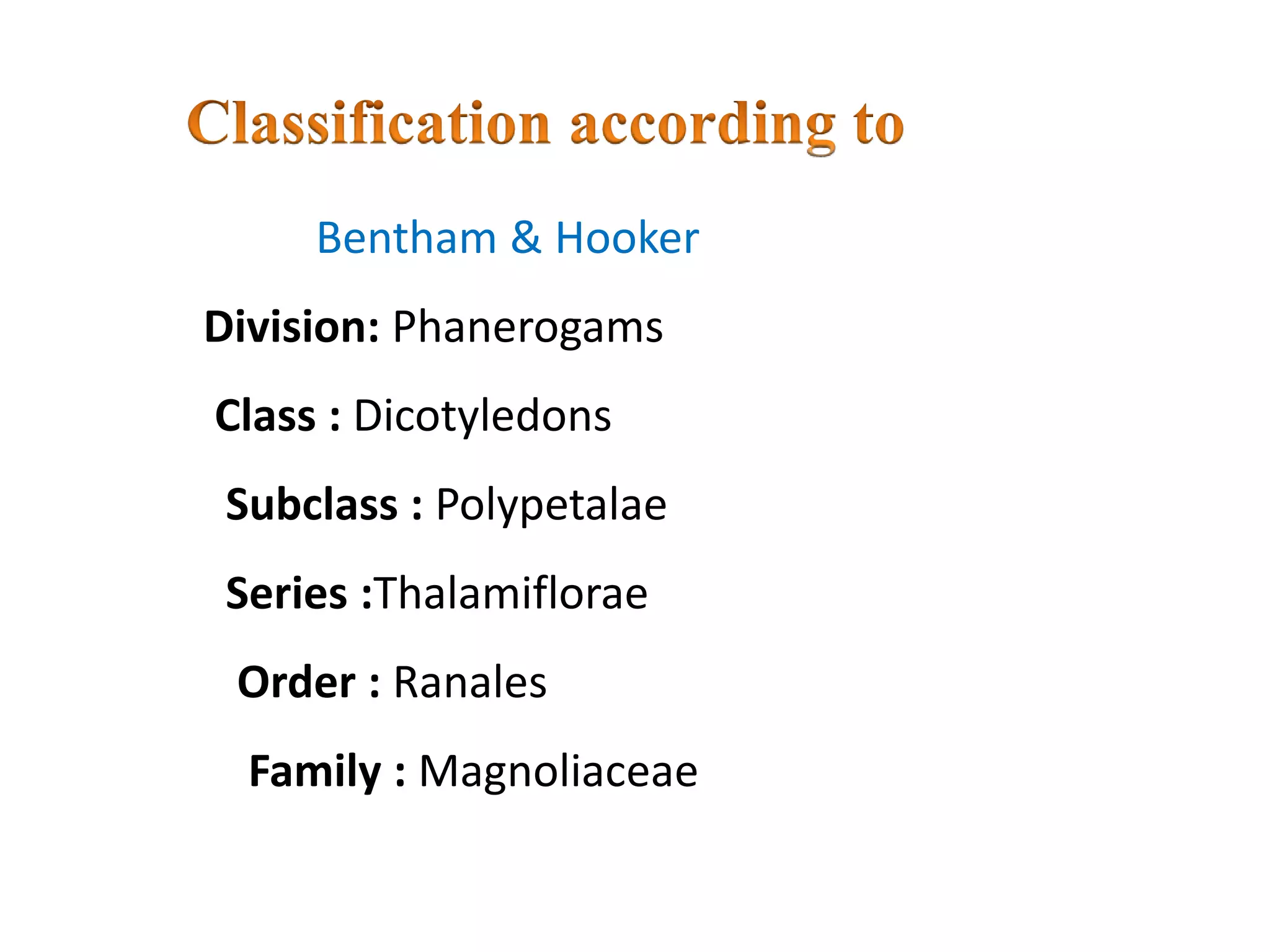 Family Magnoliaceae | PPTX