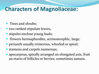 Magnoliaceae.pptx