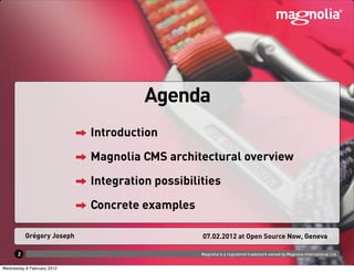Integration possibilities with Magnolia CMS | PPT