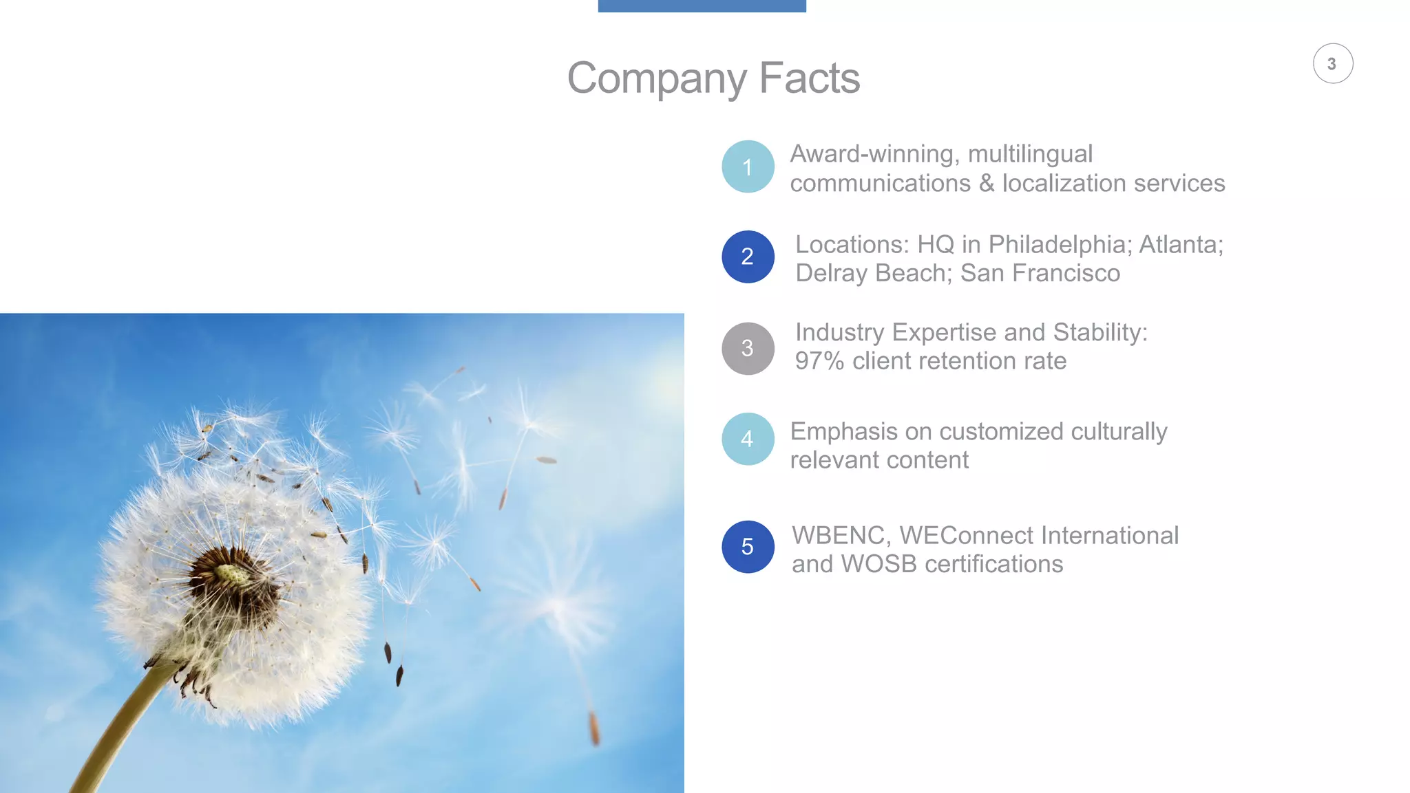 Magnum Group Info 2019 | PPT