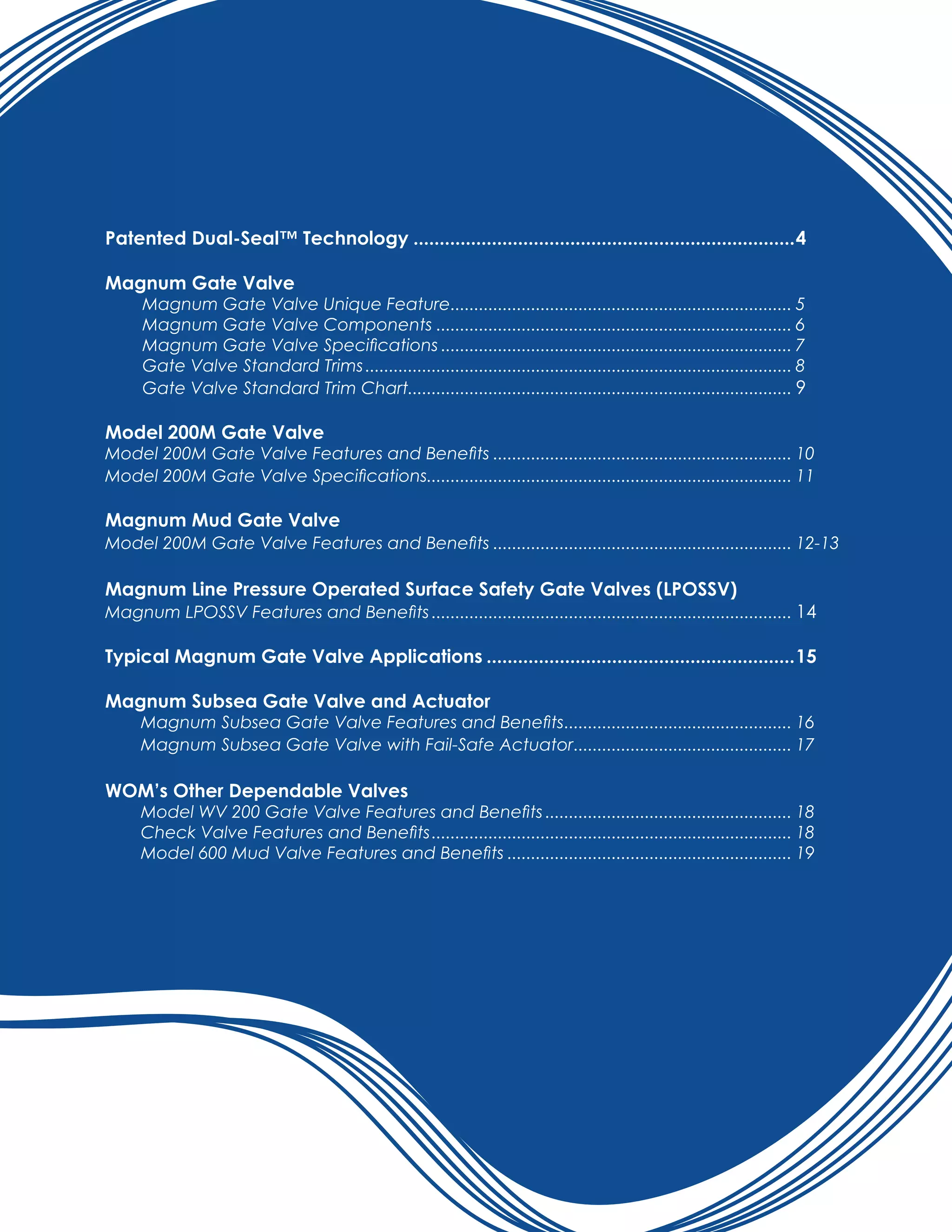 Magnum Mud Gate Valve, Mud Gate Valves - Worldwide Oilfield Machine | PDF