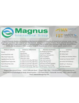 Magnus International Group Operational Assets | PDF