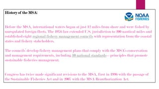 Magnuson stevens act | PDF