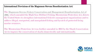 Magnuson stevens act | PDF