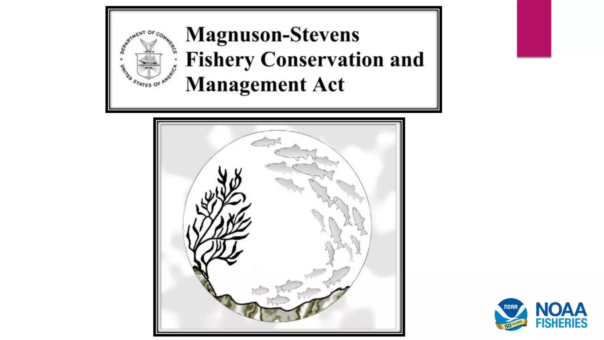 Magnuson stevens act | PPT
