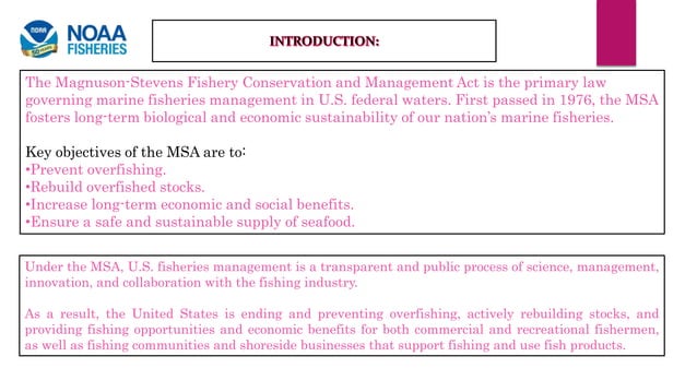 Magnuson stevens act | PPT
