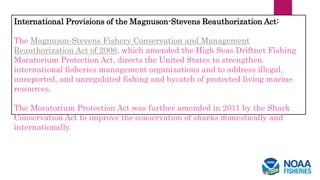 Magnuson stevens act | PPTX