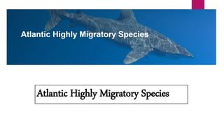 Magnuson stevens act | PPT