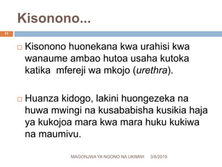 MAGONJWA YA NGONO NA UKIMWI | PPTX