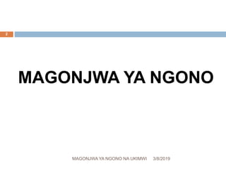 MAGONJWA YA NGONO NA UKIMWI | PPTX