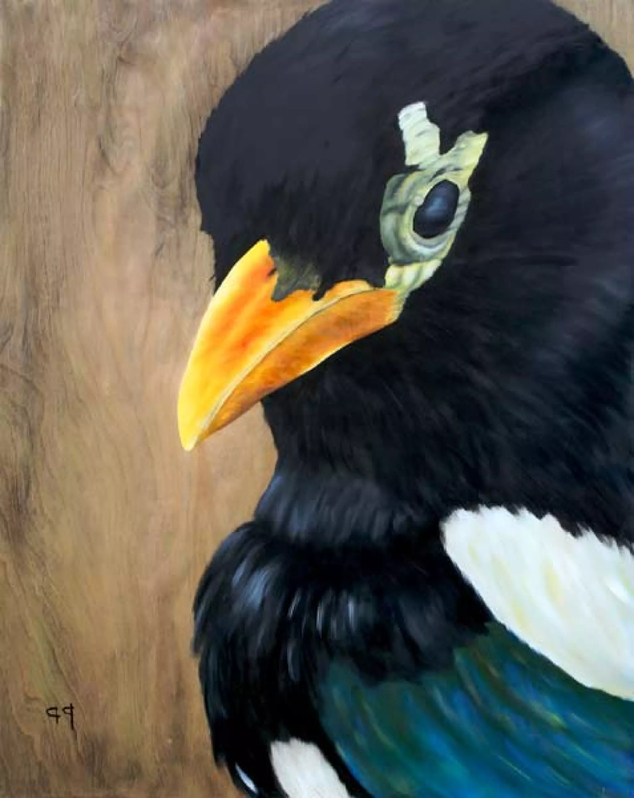 Magpie | PDF