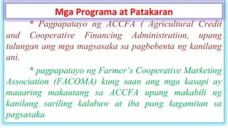 Panunungkulan ni Magsaysay | PPT