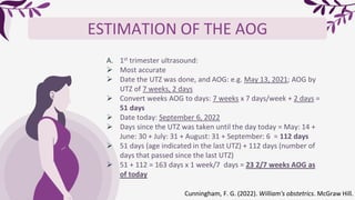 Prenatal Care In Obstetrics and Gynecology | PDF