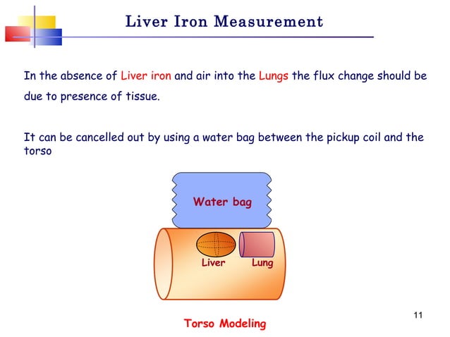 Liver Iron Measurement by Magnetic Susceptometry | PPT