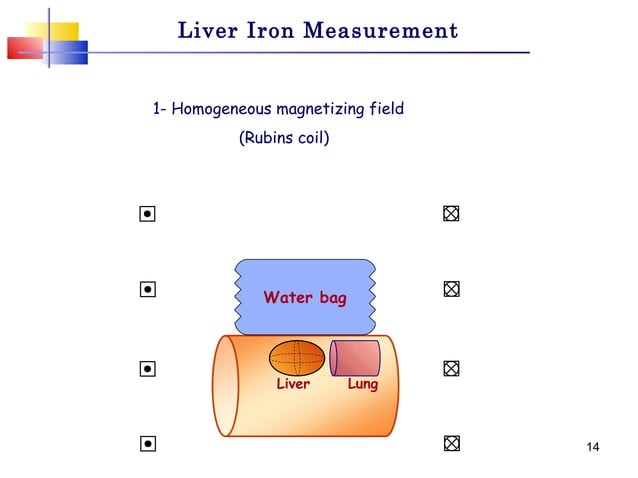 Liver Iron Measurement by Magnetic Susceptometry | PPT