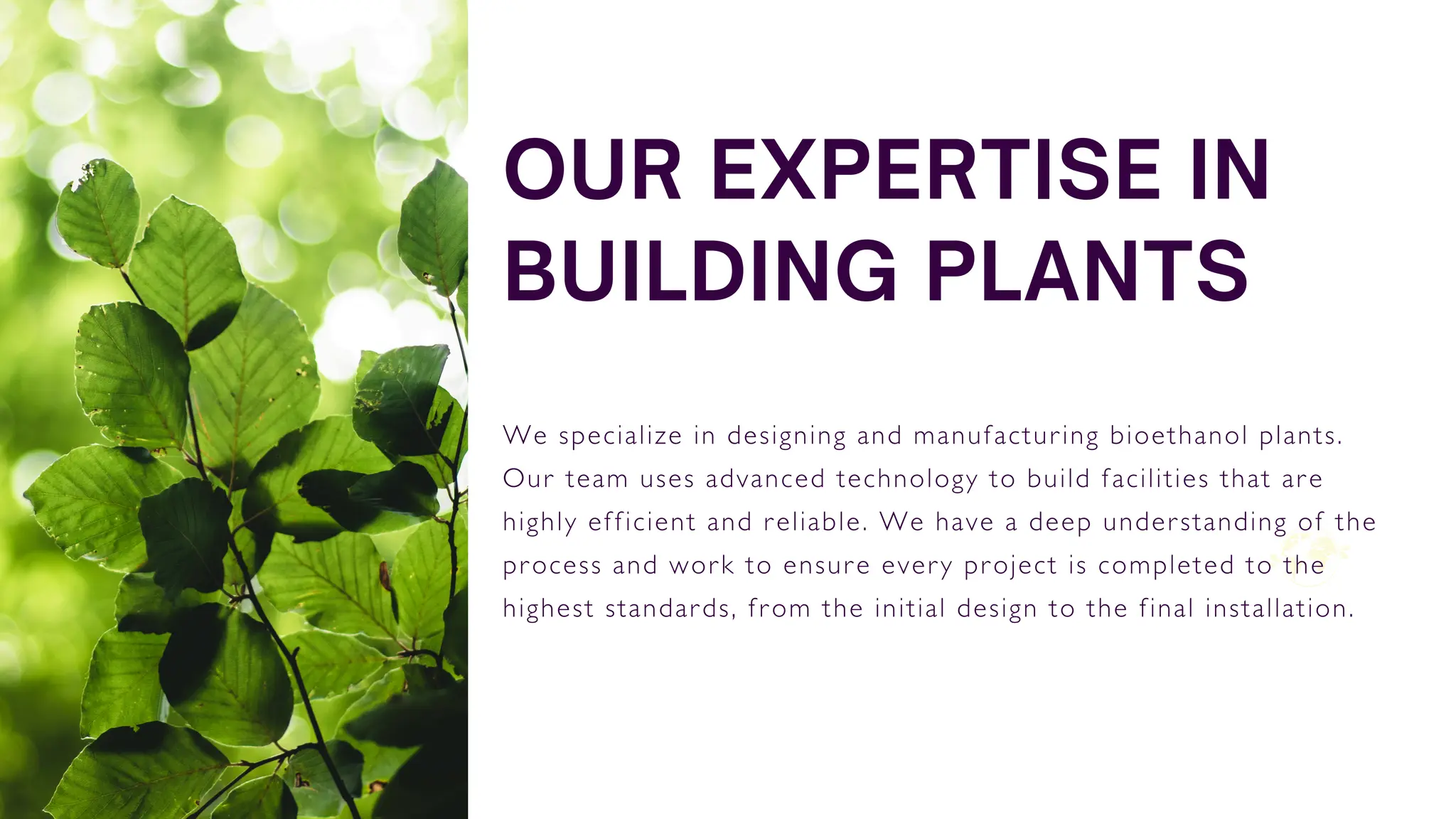 The Future of Energy is Green Powering India with Bioethanol | PDF