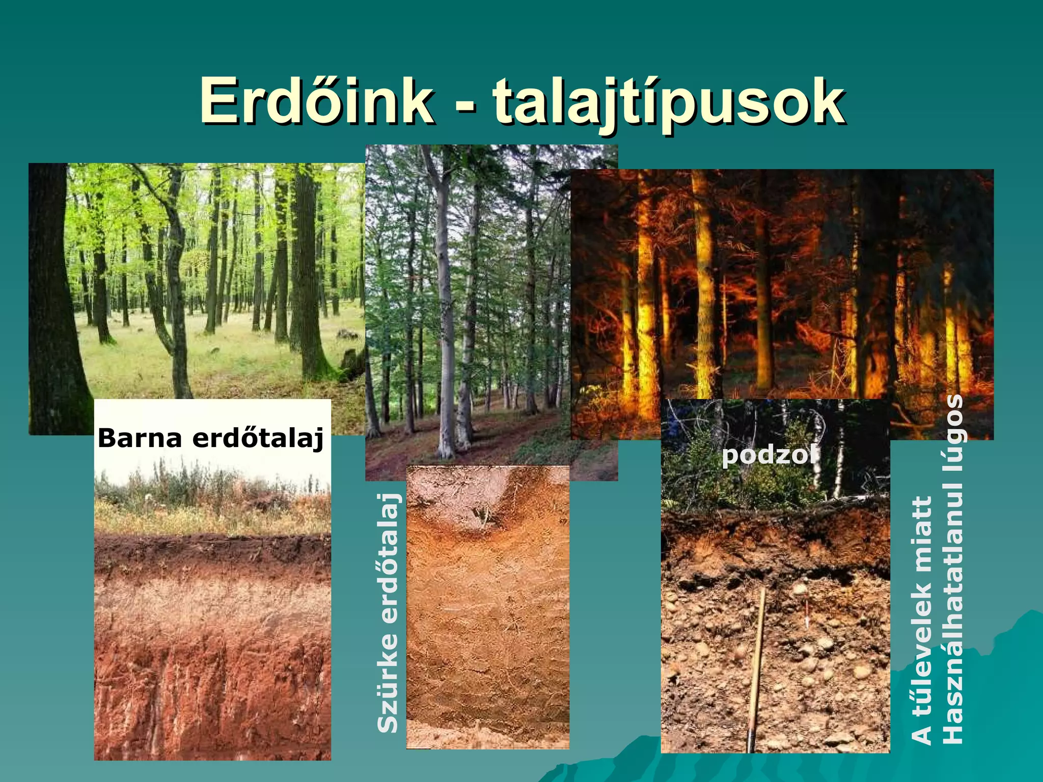 Magyarország természeti erőforrásai - 8. osztály - földrajz | PPT