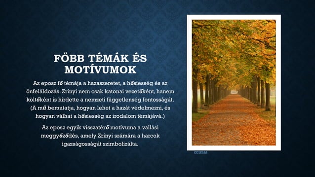 magyar stratégiái a múltban és ma Zrínyi Miklós.pptx