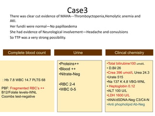 Maha -hus and ttp -presentation[3614]final presentation | PPT