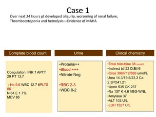 Maha -hus and ttp -presentation[3614]final presentation | PPT