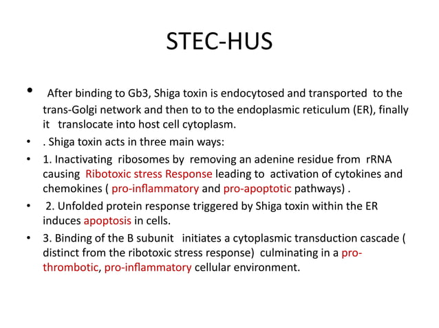 Maha -hus and ttp -presentation[3614]final presentation | PPT | Blood ...