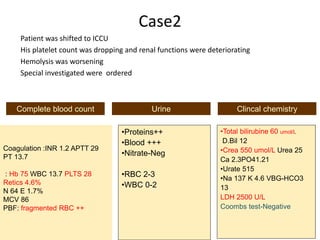 Maha -hus and ttp -presentation[3614]final presentation | PPT