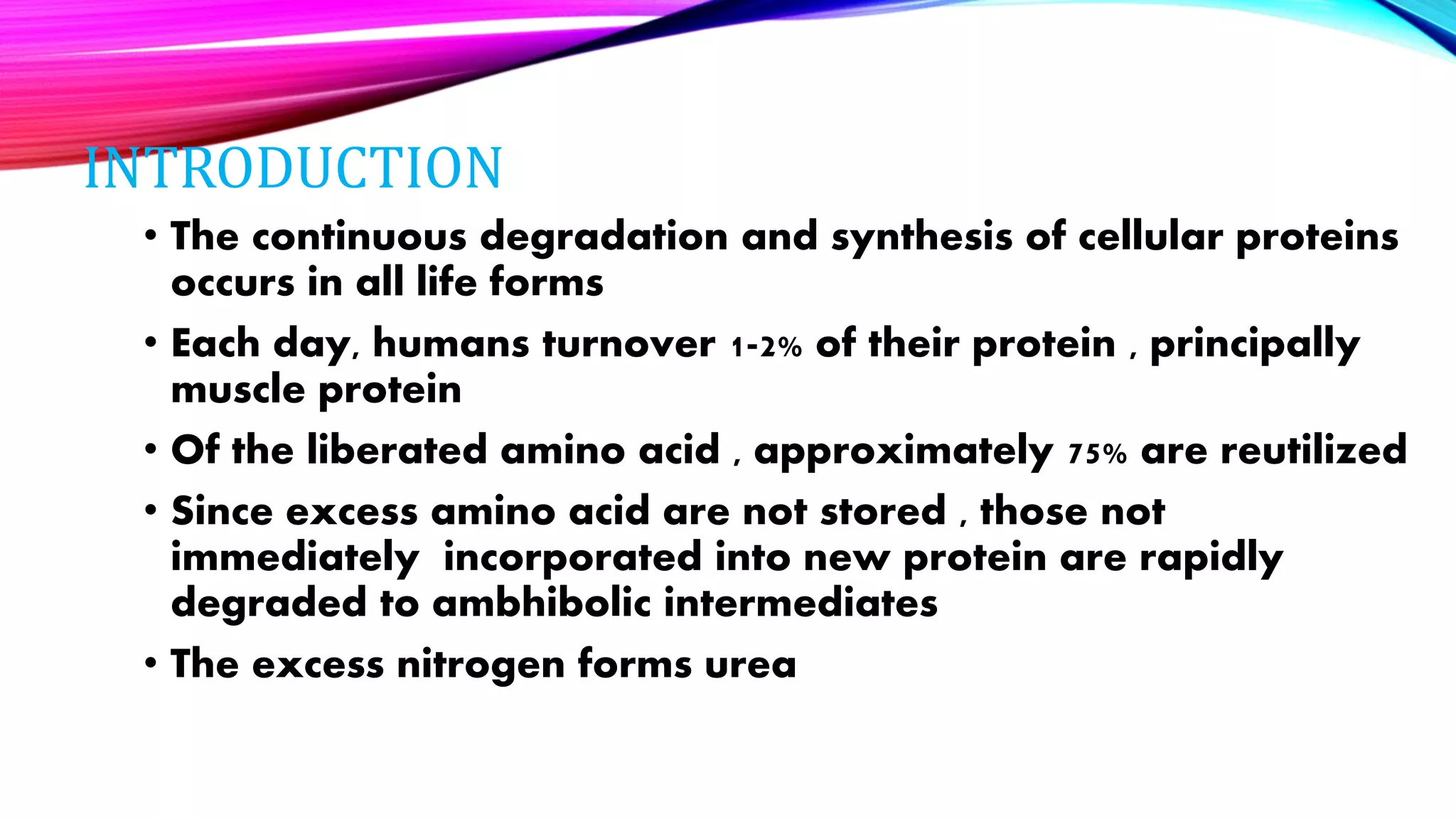 urea cycle & its regulation | PPTX