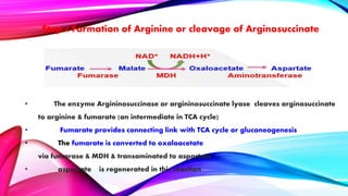 urea cycle & its regulation | PPTX