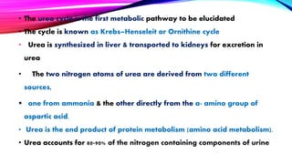 urea cycle & its regulation | PPTX
