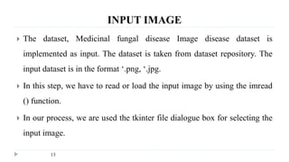 MAHA DISS PROJECT 1-1.pptx
