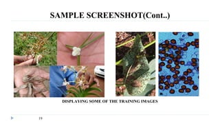 MAHA DISS PROJECT 1-1.pptx