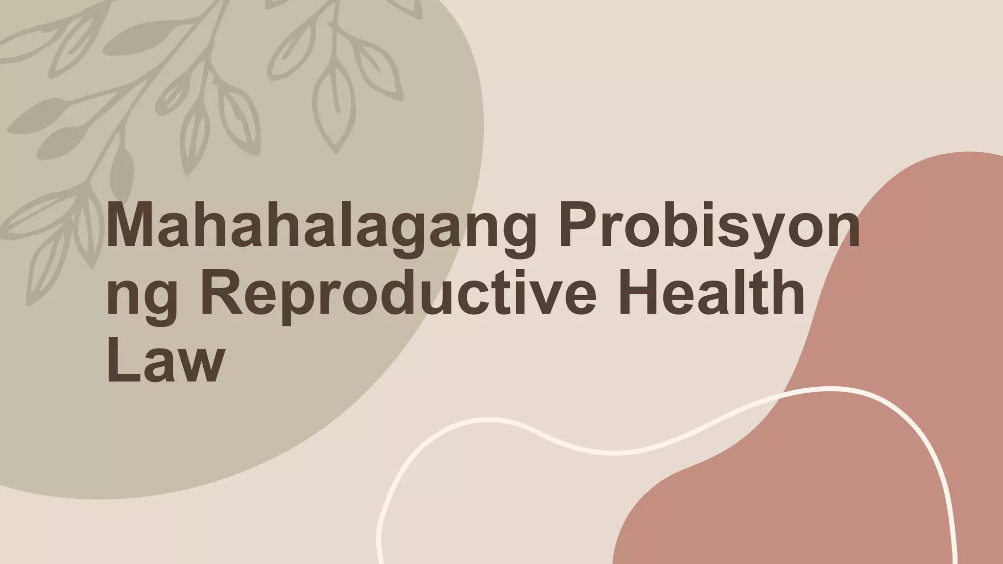 Mahahalagang-Probisyon-ng-RH-Law.pptx