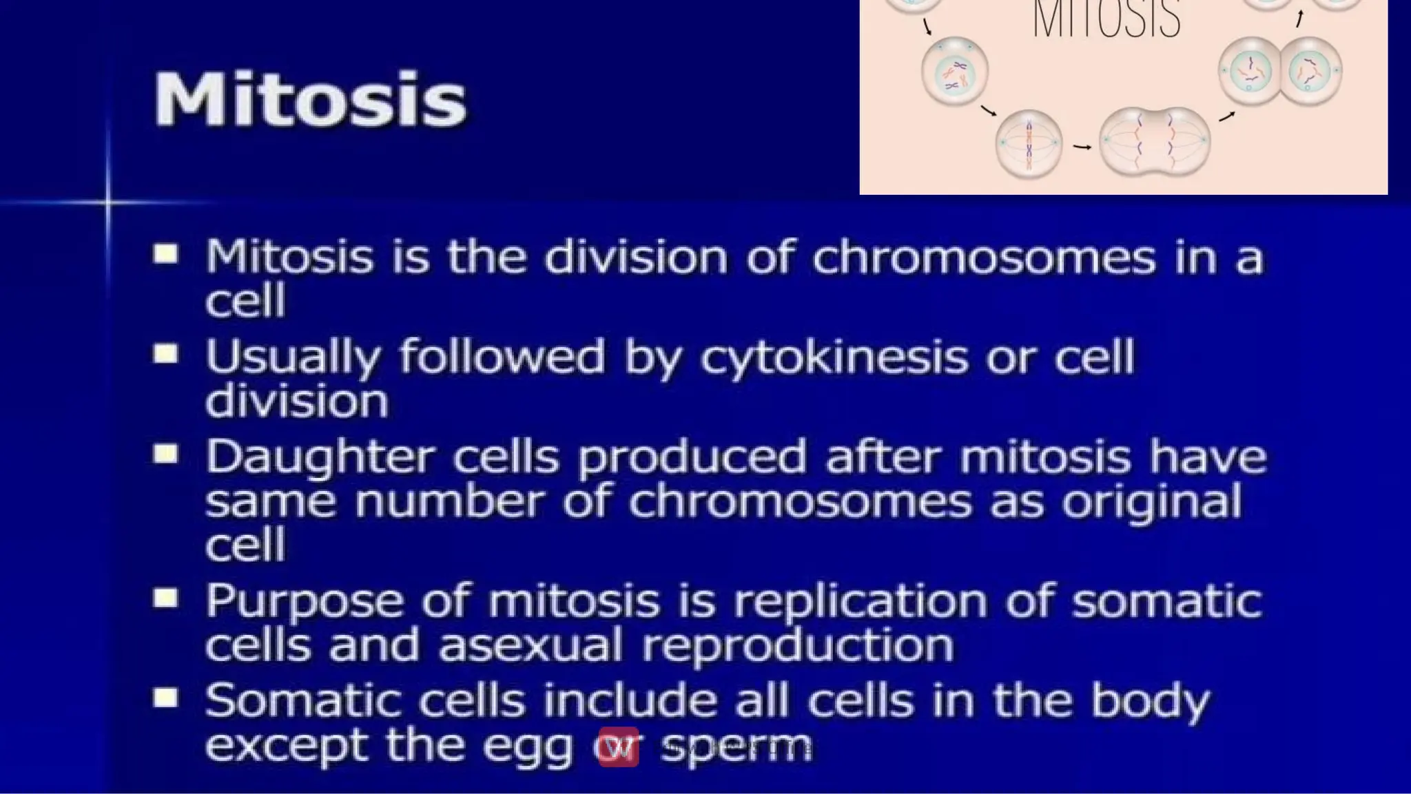 Mahak zoology ppt it is cell division : mitosis and meiosis | PPT