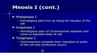 Mahak zoology ppt it is cell division : mitosis and meiosis | PPT
