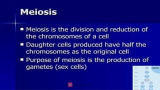 Mahak zoology ppt it is cell division : mitosis and meiosis | PPT