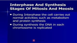 Mahak zoology ppt it is cell division : mitosis and meiosis | PPT