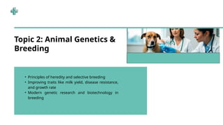 Key Areas of Animal Science That Shape Veterinary Education | PPTX