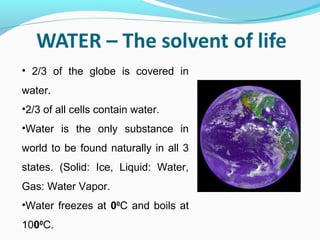 WATER | PPT