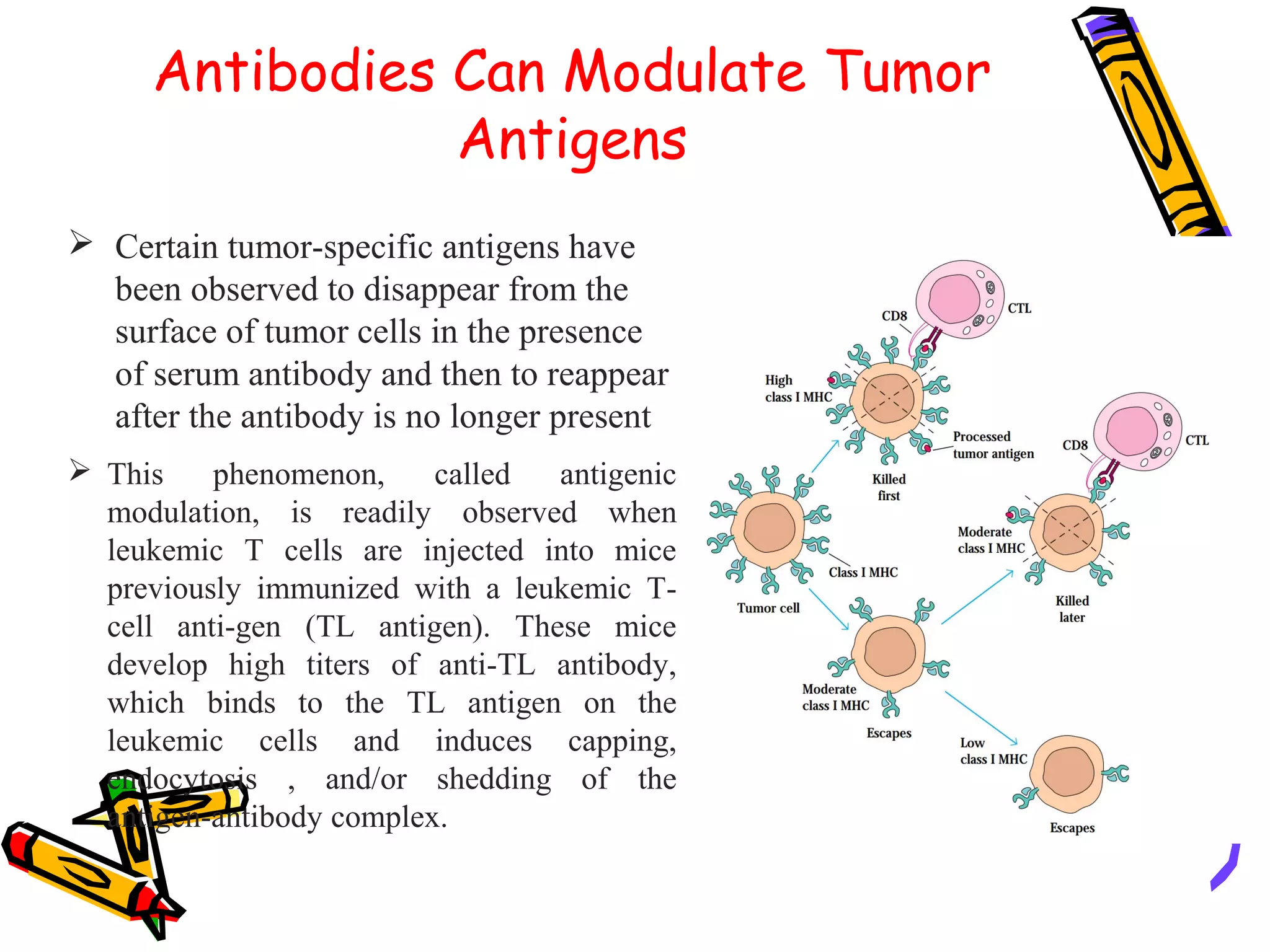 Tumor immunology | PPT
