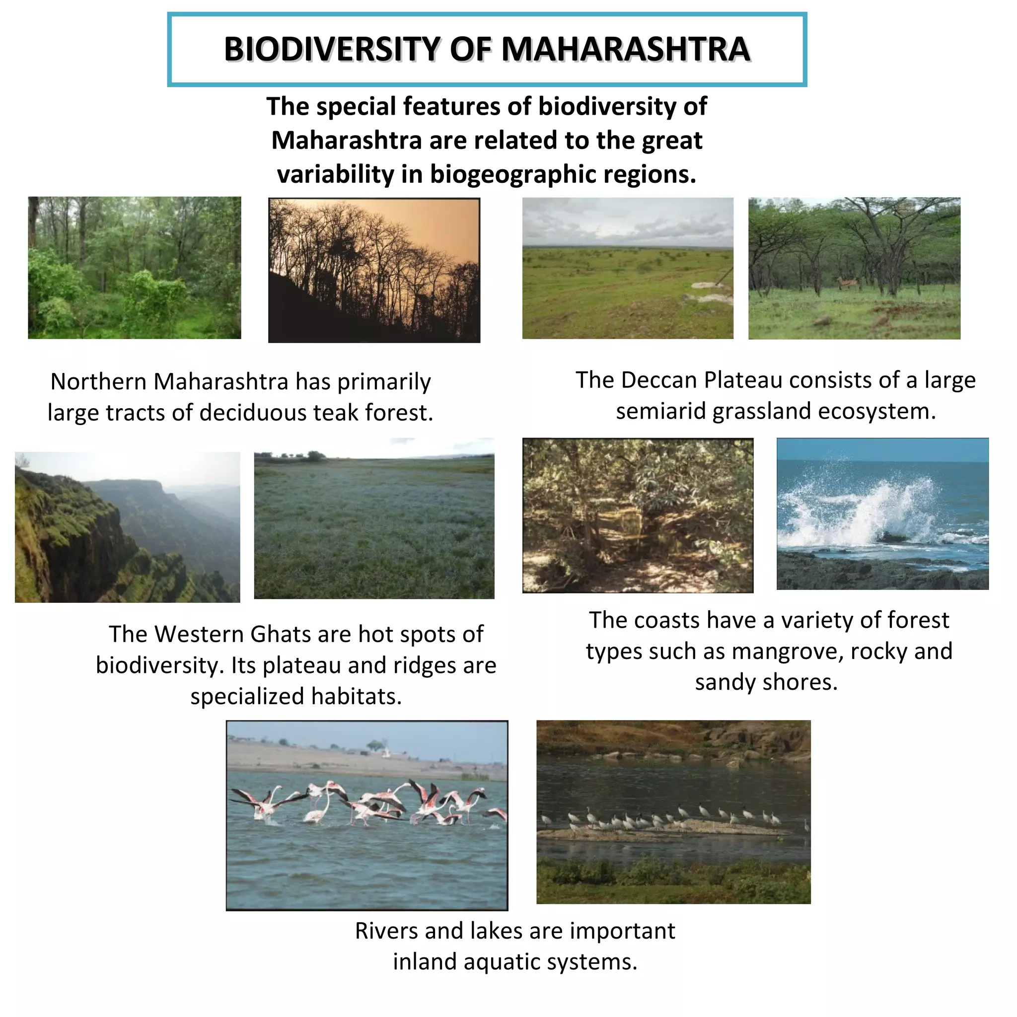 Maharashtra at a glance | PPT